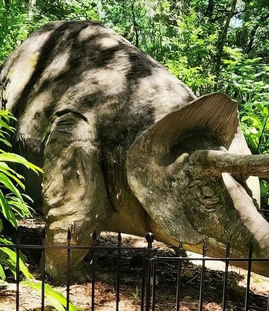 florida breathtaking ruins ftr