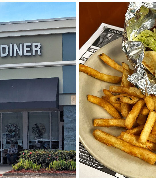 florida diner massive gyros ftr