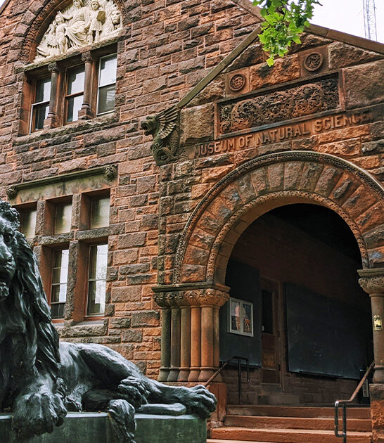 magical theater trip vermont FTR