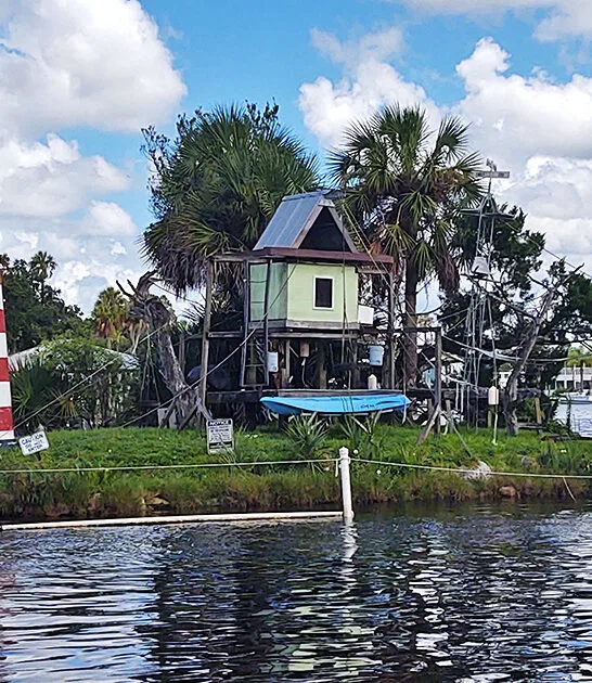 monkey island florida ftr