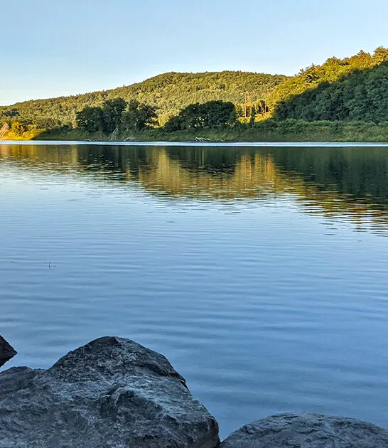 stress free park vermont ftr