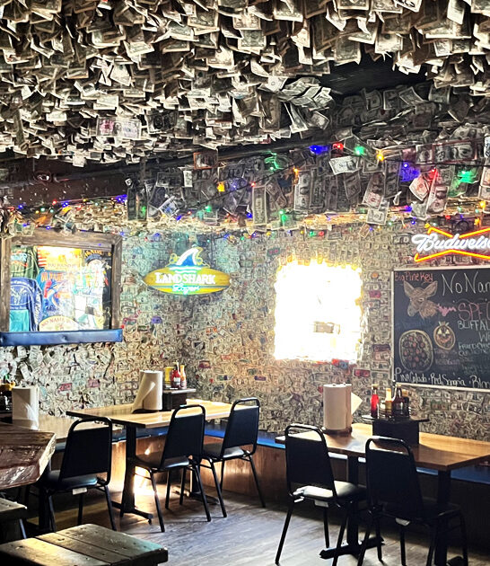 watering hole florida unforgettable ftr