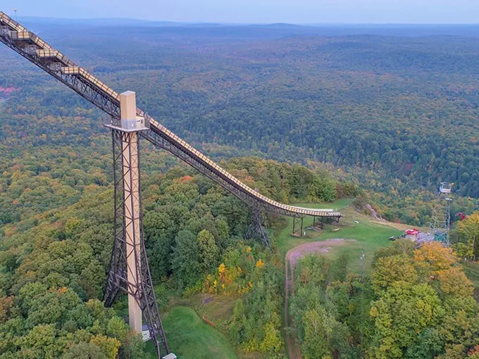 Behold, the Eiffel Tower of the North Woods! This metal marvel pierces the sky like a toothpick in a particularly ambitious club sandwich.