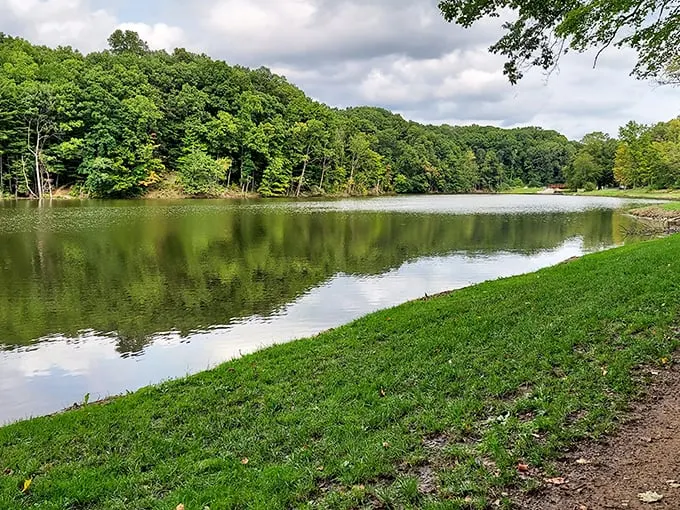 Mirror, mirror on the lake! Mt. Gilead's serene waters reflect nature's beauty like a landscape painter's dream come true. A sight that'll make you forget your smartphone exists.