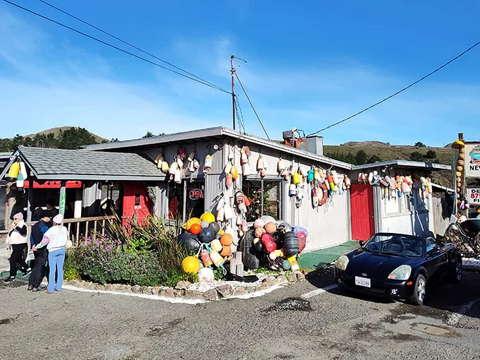 Ahoy, seafood lovers! The Boat House in Bodega Bay looks like it raided Poseidon's garage sale, and we're here for it.