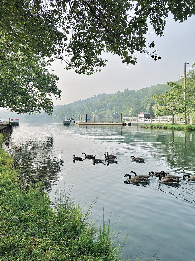 "Welcome to paradise!" This wooden pier stretches into Lake Burton like an invitation to tranquility, promising adventures and lazy afternoons in equal measure.