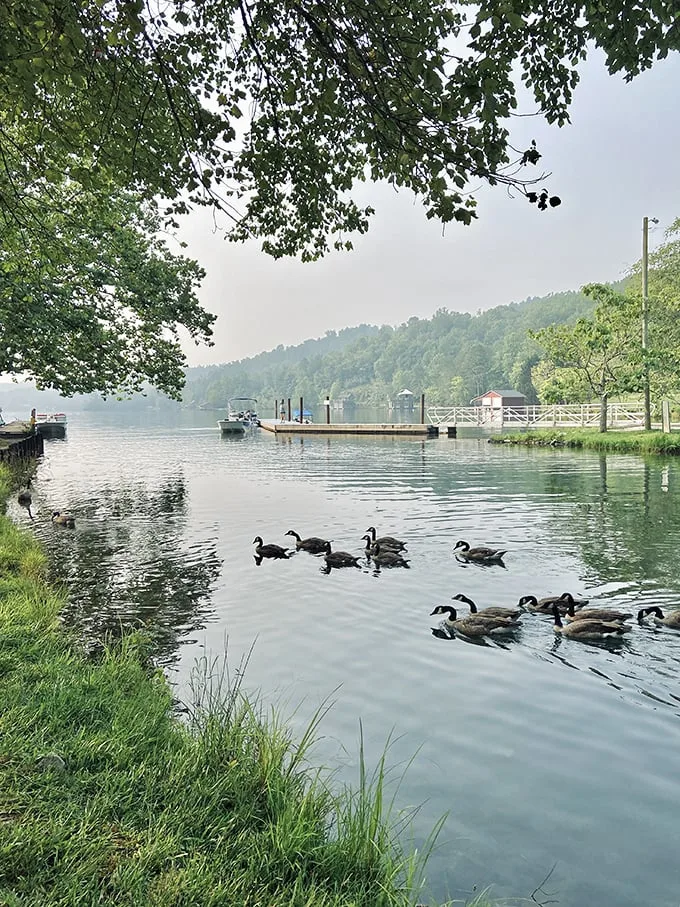 "Welcome to paradise!" This wooden pier stretches into Lake Burton like an invitation to tranquility, promising adventures and lazy afternoons in equal measure.