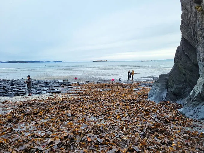 This untamed shoreline hums with life—waves lapping, seaweed swaying, and the distant call of adventure just beyond.
