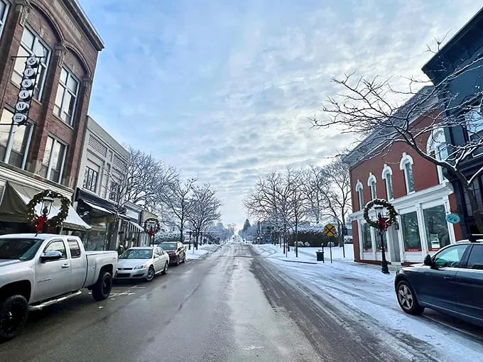 Petoskey's main street: Where Norman Rockwell meets Hallmark movie magic. Snow-dusted storefronts and twinkling lights create a scene so charming, you'll swear you've stepped into a living postcard.