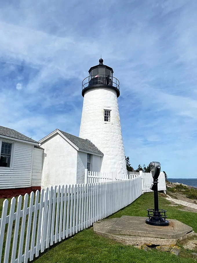 A beacon of hope, or just a really tall nightlight? Pemaquid Point Lighthouse stands guard, its white tower a stark contrast against the azure Maine sky.