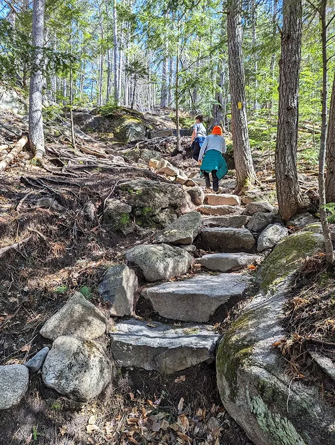 Stunning nature, rocky steps, and good company—Step Falls Preserve serves up a perfect hiking adventure!