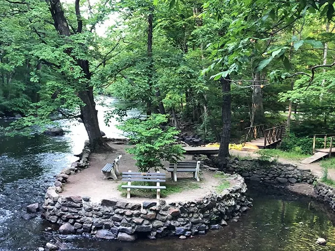 Nature's own lazy river! This winding waterway is like Mother Nature's version of a theme park ride, minus the overpriced tickets.