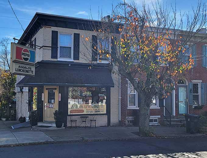 Step into a time machine disguised as a diner! Angelo's Luncheonette's vintage charm will transport you faster than Doc Brown's DeLorean.