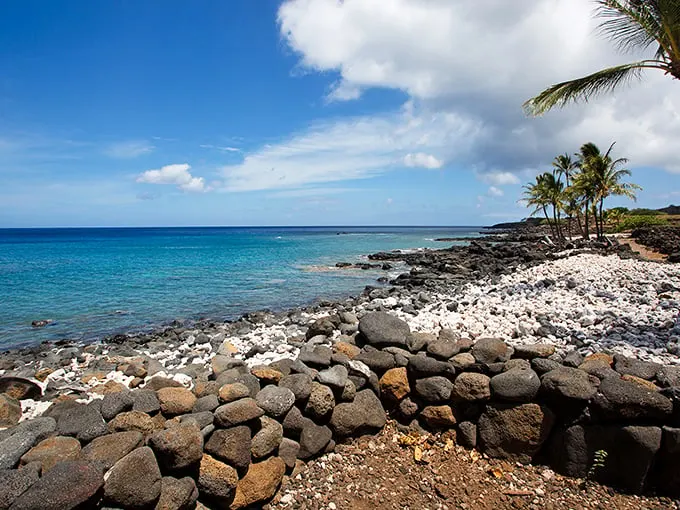 Nature's masterpiece unfolds: Lapakahi's coastline is like a Bob Ross painting come to life, minus the "happy little trees" – they're all palm trees here!