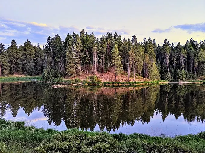 Mirror, mirror on the lake! Winchester's waters reflect nature's masterpiece, creating a double dose of pine-scented paradise.