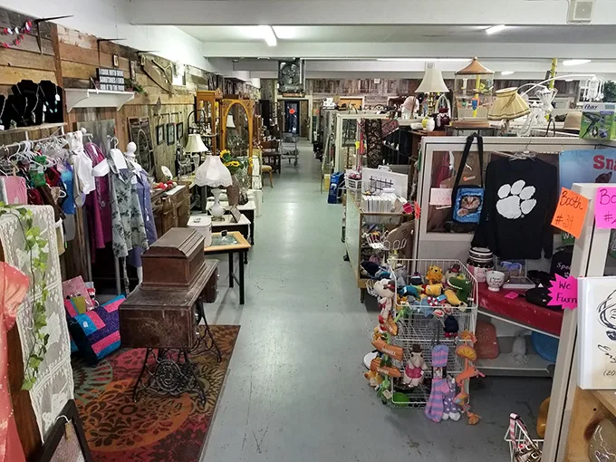 Step into a wonderland where one person's castoffs become another's treasures. It's like your grandma's attic had a growth spurt!
