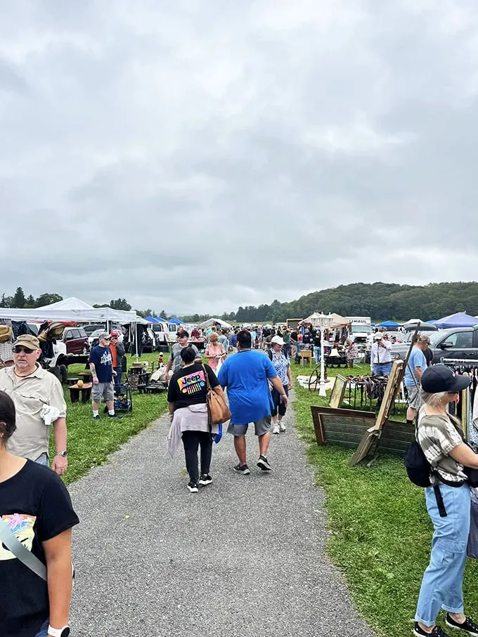 Welcome to the treasure hunter's paradise! Stormville's flea market is where bargain dreams come true and wallets tremble with excitement.