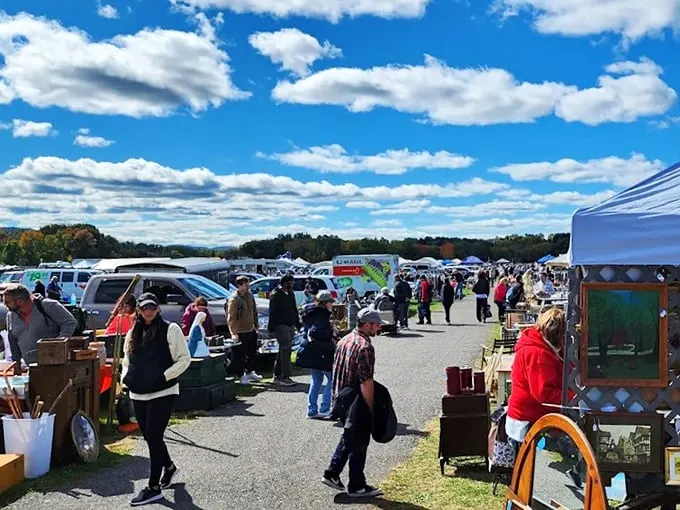 Welcome to the treasure hunter's paradise! Stormville's flea market is where bargain dreams come true and wallets tremble with excitement.