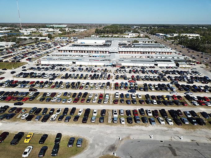 Welcome to the land of endless possibilities! At Oldsmar Flea Market, you'll find everything from vintage treasures to fresh produce, all under one roof.