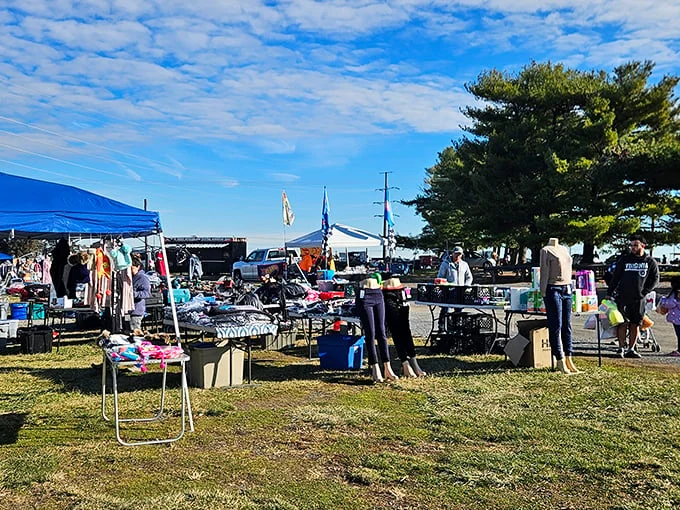 A treasure hunter's paradise! Rows of tents and tables stretch as far as the eye can see, promising hidden gems and unexpected delights at every turn.