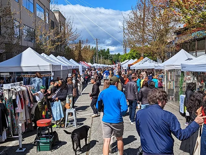 Welcome to treasure hunter's paradise! The Fremont Sunday Street Market transforms Seattle's quirkiest neighborhood into a wonderland of white tents and endless possibilities.