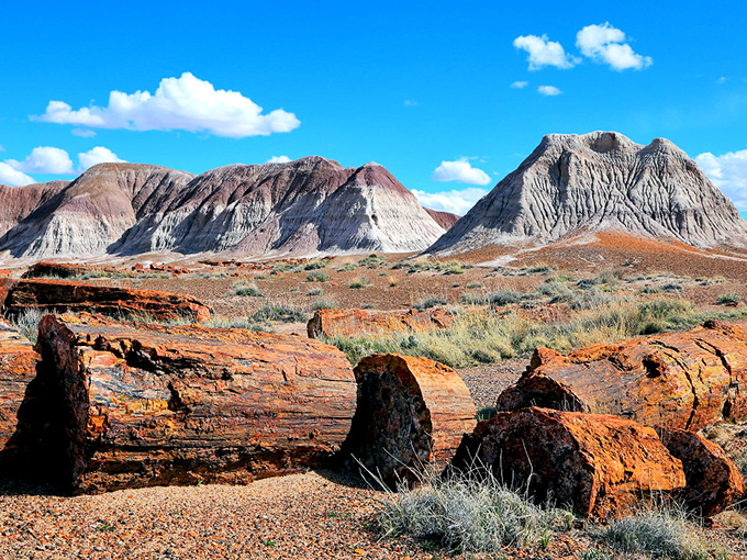 Nature's own rock garden: Petrified logs scattered like ancient breadcrumbs, leading us through a landscape that's part Flintstones, part fine art gallery.