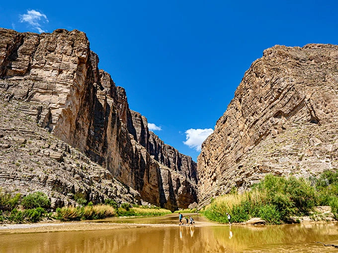 Nature's grand canvas unfolds! The Rio Grande carves its way through Big Bend, creating a masterpiece that would make Bob Ross reach for his biggest brush.