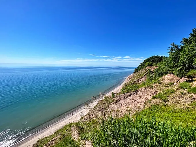 A breathtaking view of Lake Michigan from the bluffs of Lion's Den Gorge Nature Preserve, where azure waters meet rugged shoreline under an endless blue sky.