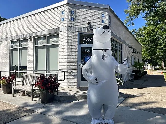 A sweet corner of Minneapolis! Dancing Bear Chocolate stands proudly at the intersection of 44th and Thomas, beckoning chocolate lovers with its charming brick facade and vibrant flower pots.