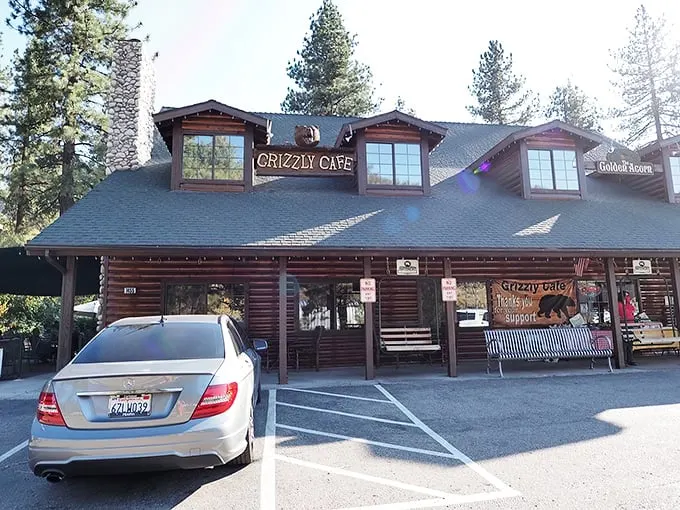 A log cabin that promises culinary adventures! The Grizzly Cafe stands tall among the pines, beckoning hungry travelers with its rustic charm and mouthwatering aromas.