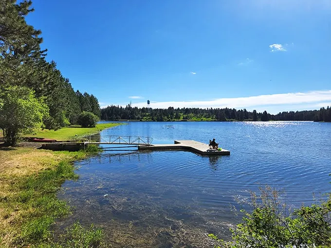Mirror, mirror on the lake! Winchester's waters reflect nature's masterpiece, creating a double dose of pine-scented paradise.