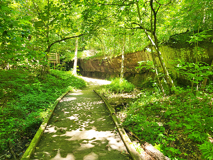 Nature's welcome mat: A sun-dappled path beckons, promising adventure and prehistoric secrets. Indiana Jones, eat your heart out!