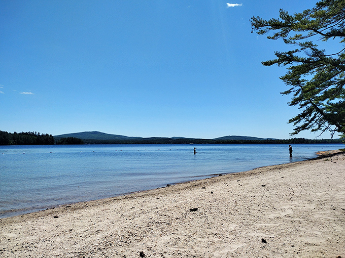 
"Who needs a beach umbrella when you've got nature's own sunshade?" Towering pines frame a serene lakeside scene, inviting visitors to bask in New Hampshire's natural beauty.