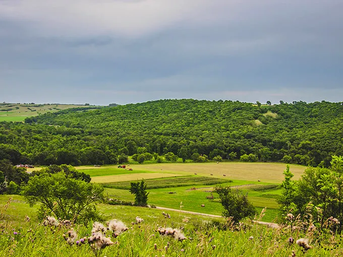Nature's canvas unfurls: Rolling hills, lush forests, and golden fields paint a landscape that would make Bob Ross reach for his easel. Fort Ransom State Park is North Dakota's masterpiece.