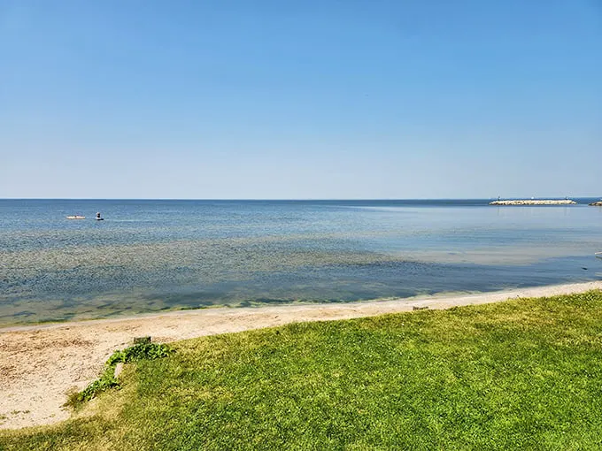 Nature's autumn masterpiece unfolds before your eyes. High Cliff State Park's panoramic vista is a feast of golden hues that would make even Midas jealous.