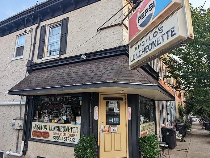 Step into a time machine disguised as a diner! Angelo's Luncheonette's vintage charm will transport you faster than Doc Brown's DeLorean.