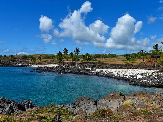 Nature's masterpiece unfolds: Lapakahi's coastline is like a Bob Ross painting come to life, minus the "happy little trees" – they're all palm trees here!
