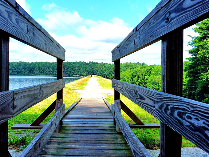 A path less traveled: Ashland State Park's winding trail beckons adventurers like a siren's call, minus the whole shipwreck thing.