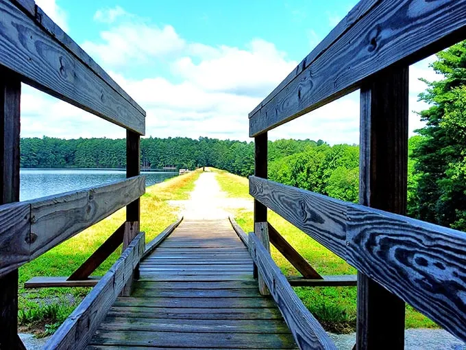 A path less traveled: Ashland State Park's winding trail beckons adventurers like a siren's call, minus the whole shipwreck thing.