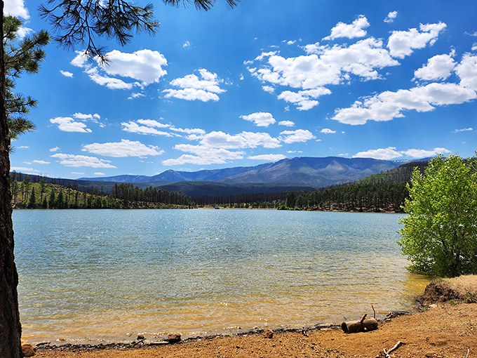 Who needs a green screen when you've got this? Mother Nature's showing off at Morphy Lake State Park, painting a masterpiece of mountains, forests, and crystal-clear waters.