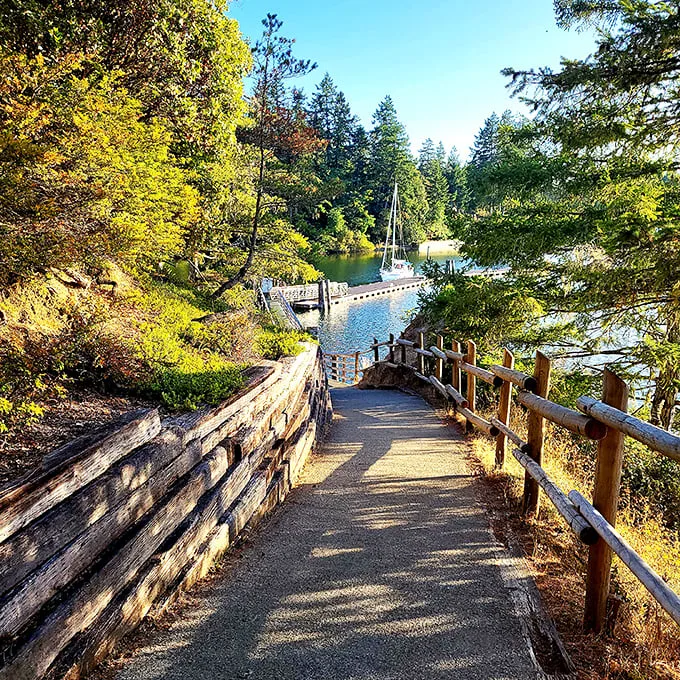Nature's mirror: Jarrell Cove's tranquil waters reflect towering evergreens, creating a scene Bob Ross would've loved to paint.