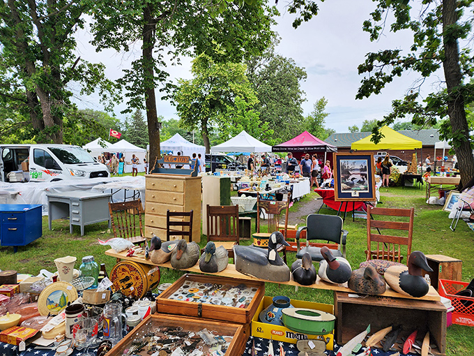 A treasure hunter's paradise! From vintage furniture to quirky knick-knacks, this flea market is like Aladdin's cave meets your eccentric aunt's attic.