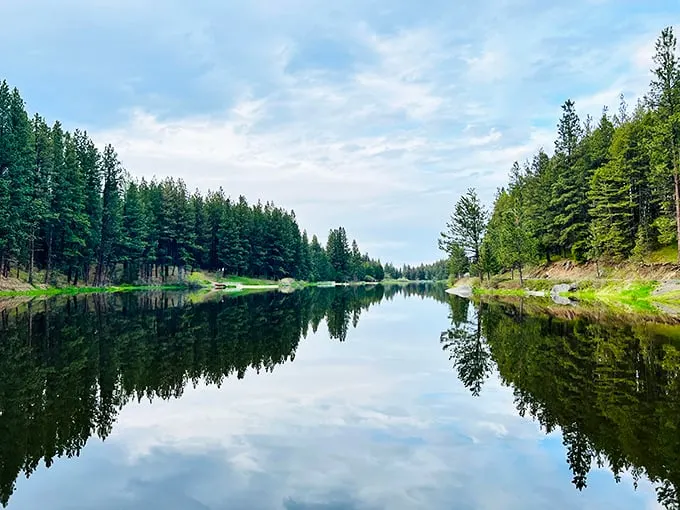 Mirror, mirror on the lake! Winchester's waters reflect nature's masterpiece, creating a double dose of pine-scented paradise.