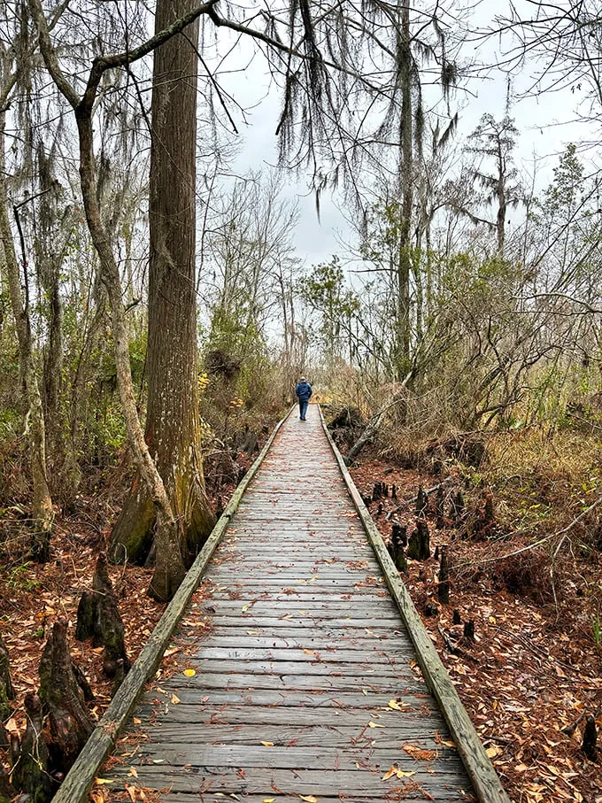 This wooden path offers front-row seats to Louisiana's most captivating show.
