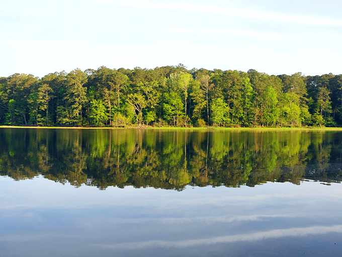 Tranquility central! This serene shoreline could make even the most stressed-out city slicker forget their inbox exists. Nature's spa day, anyone?
