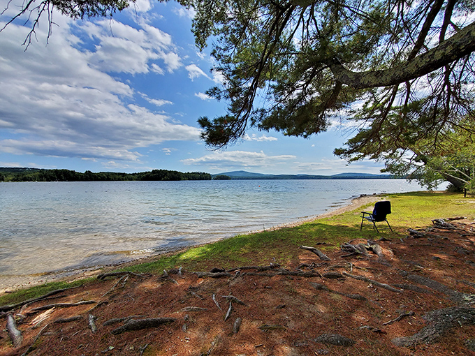 "Who needs a beach umbrella when you've got nature's own sunshade?" Towering pines frame a serene lakeside scene, inviting visitors to bask in New Hampshire's natural beauty.