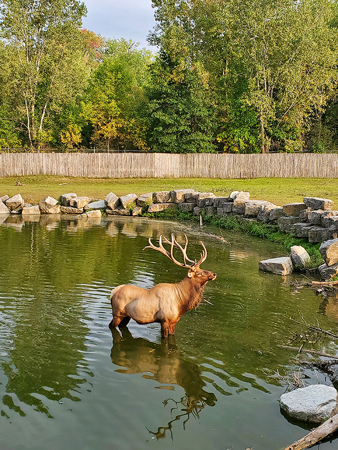 Welcome to the wild side of Wisconsin! The NEW Zoo & Adventure Park's rustic entrance promises a day of animal encounters and outdoor thrills. 