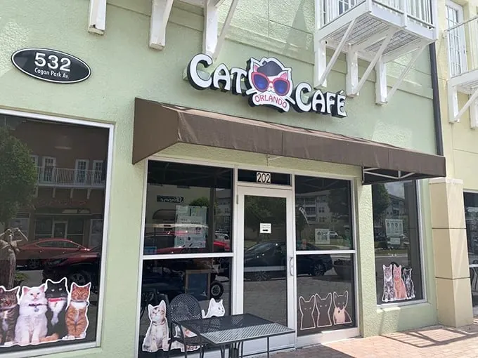 Welcome to the Cat Café, where feline fantasies come true! This mint-green building houses more purr-sonality than your average coffee shop.
