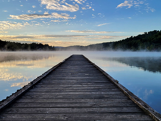 Misty mornings and wooden wonders! This dock isn't just a path to the lake; it's a gateway to serenity. Who needs a spa when you've got this view?
