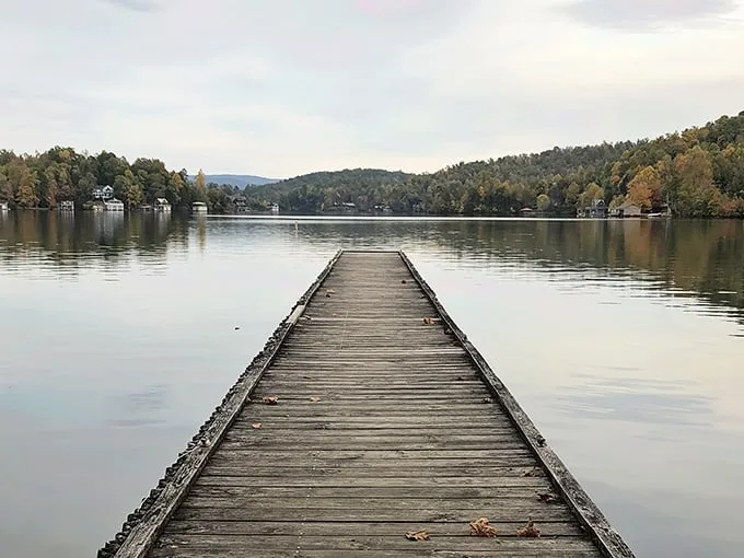 Misty mornings and wooden wonders! This dock isn't just a path to the lake; it's a gateway to serenity. Who needs a spa when you've got this view?